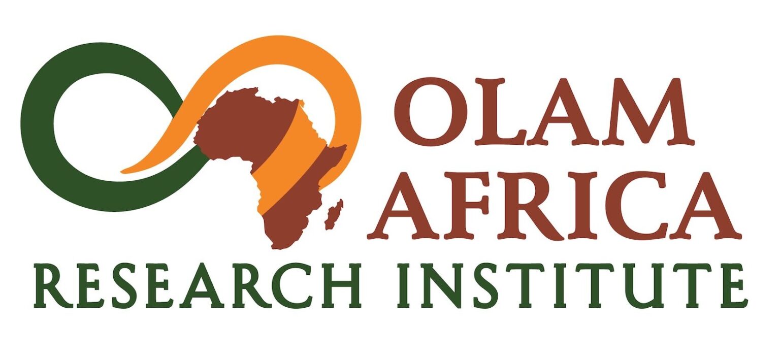 The Revised Migration White Paper Tests The State South Africa Assumes ...